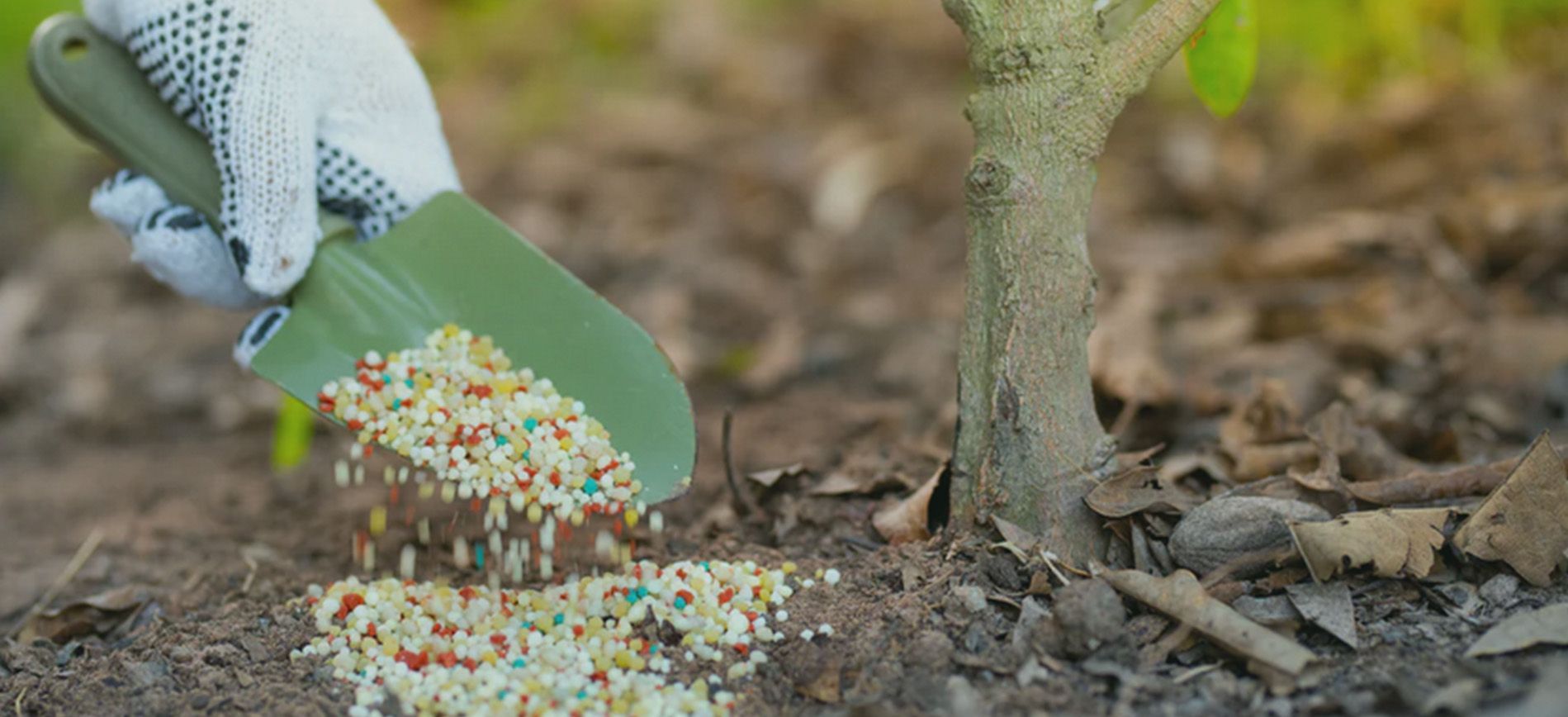 Bio-Based Fertilizers: The Future of Farming | Green Gubre Group