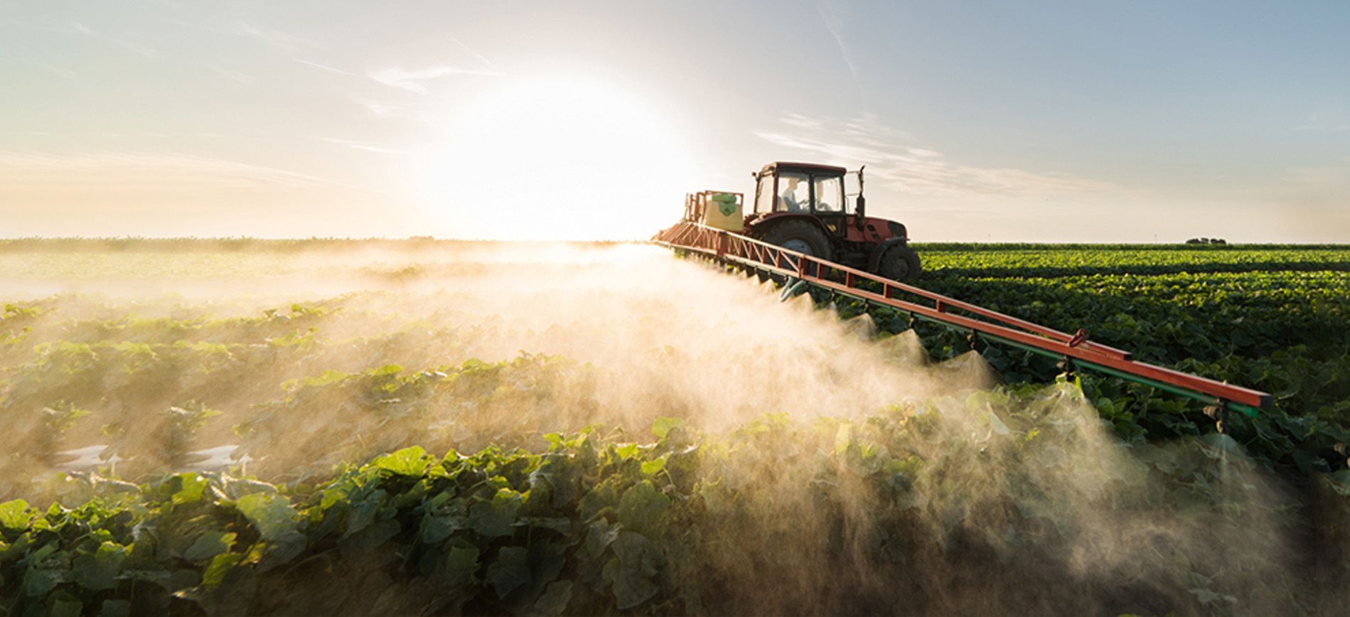 CBAM’s Impact on Fertilizer Exports | Green Gubre group