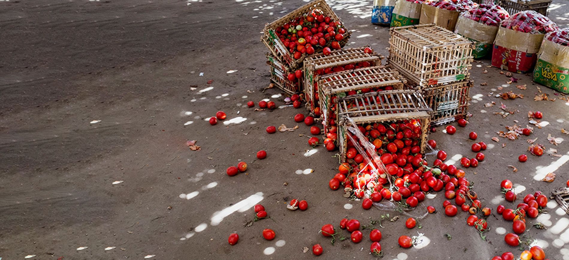 Reducing Food Loss with Post-Harvest Tech | Green Gubre Group