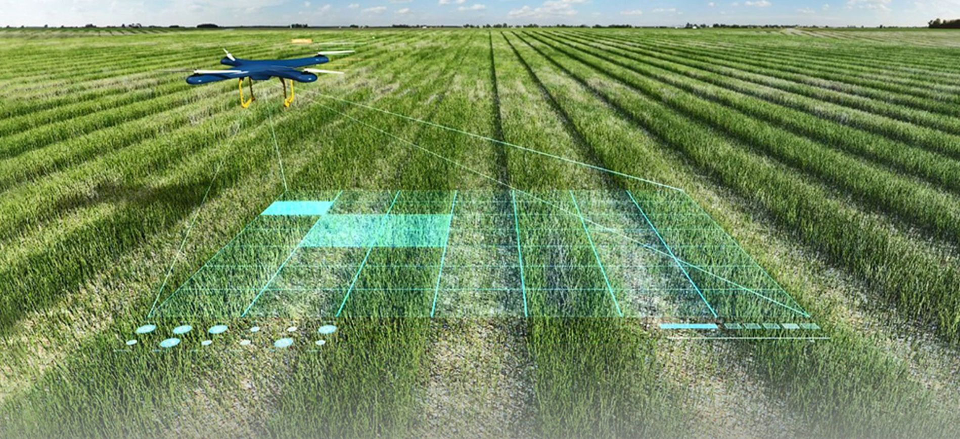 AI & Big Data in Fertilizer Use | Green Gubre Group