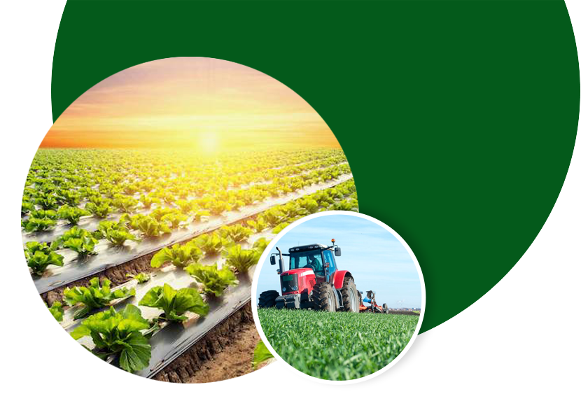 About Us | Thera Capital Management