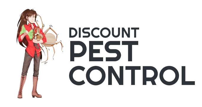 Rest easy with our pest solutions | DISCOUNT PEST CONTROL