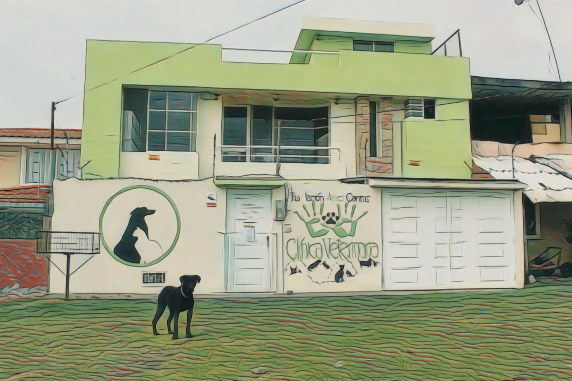 Amici Cannis USA | Foundation Hospital