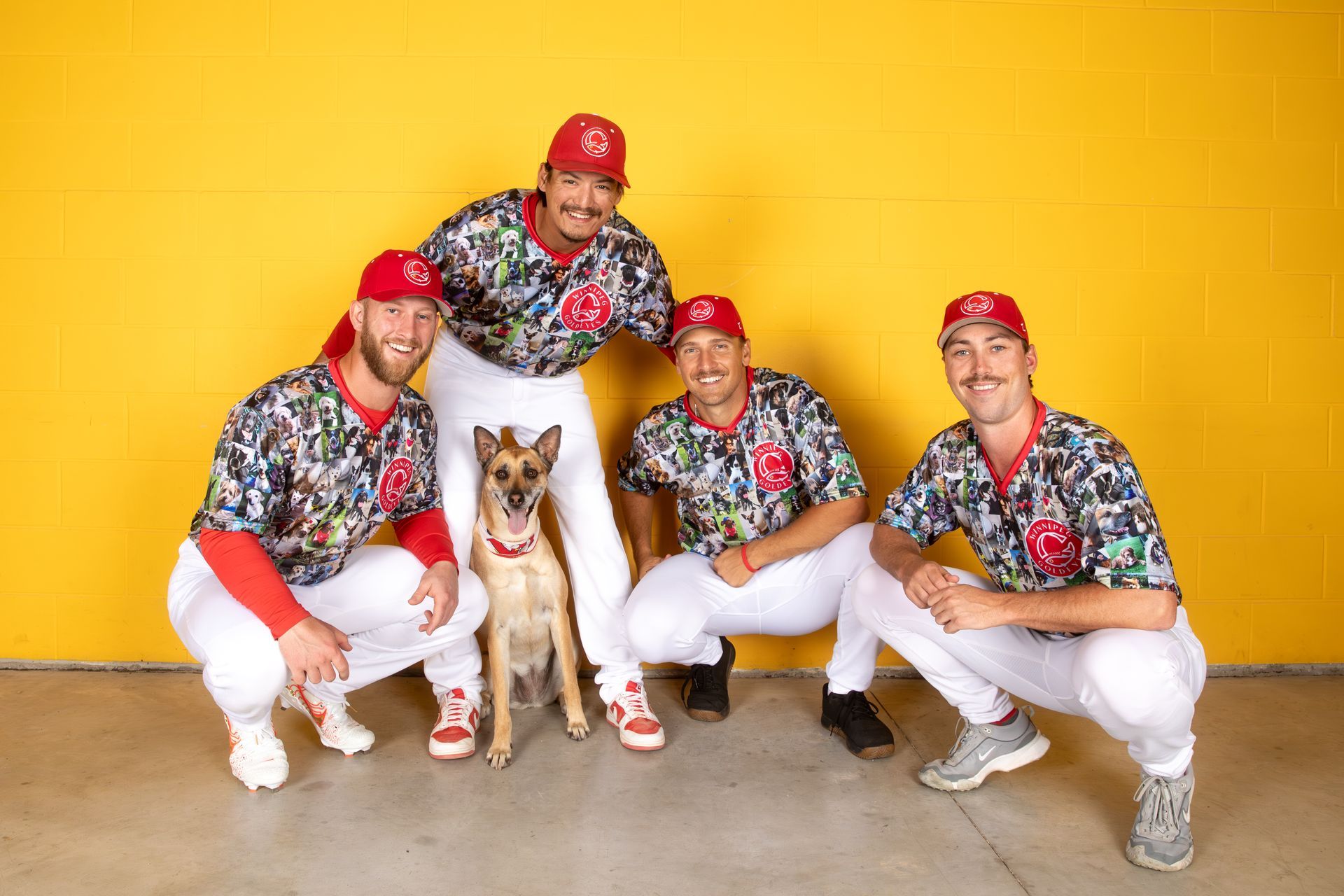 "Bark in the Park" Returns August 17th