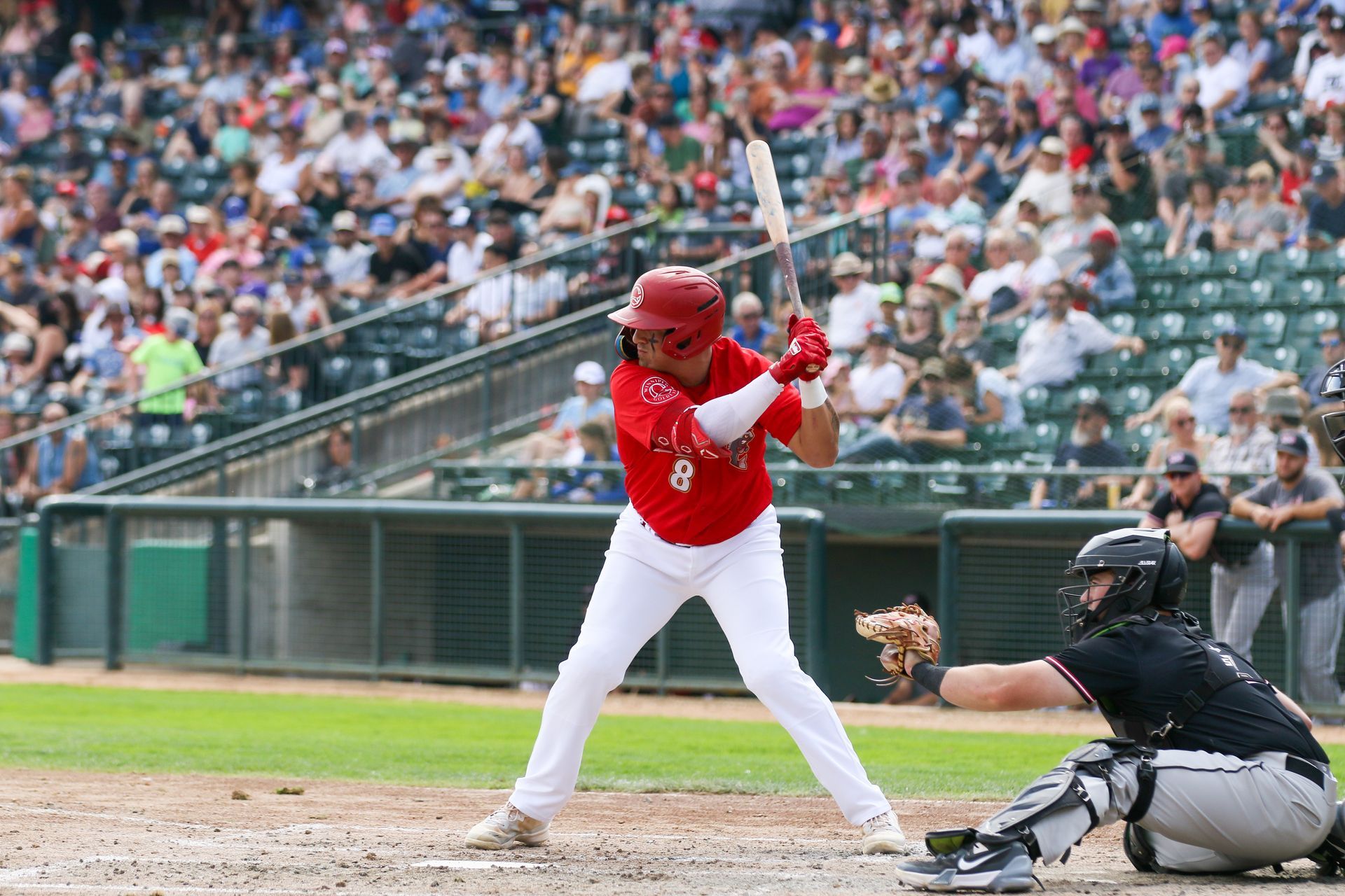 Goldeyes Swept by Sioux City