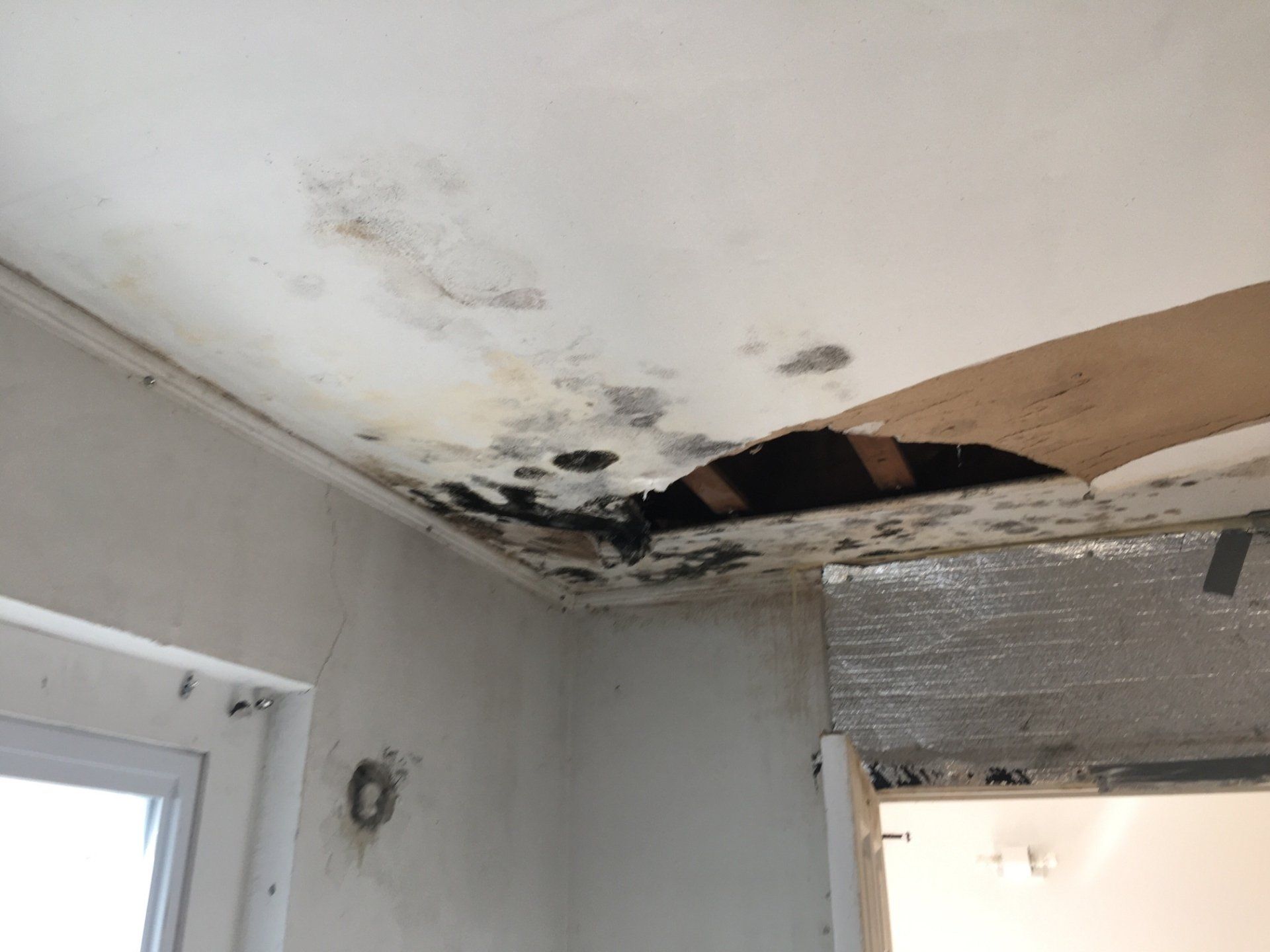 Water Damage Caused By Leaky Roofs on Lafayette Buildings