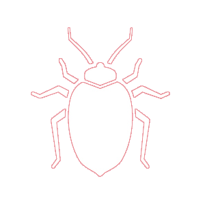 Pest/Termite Control Company | Athens, GA | Athens Exterminating