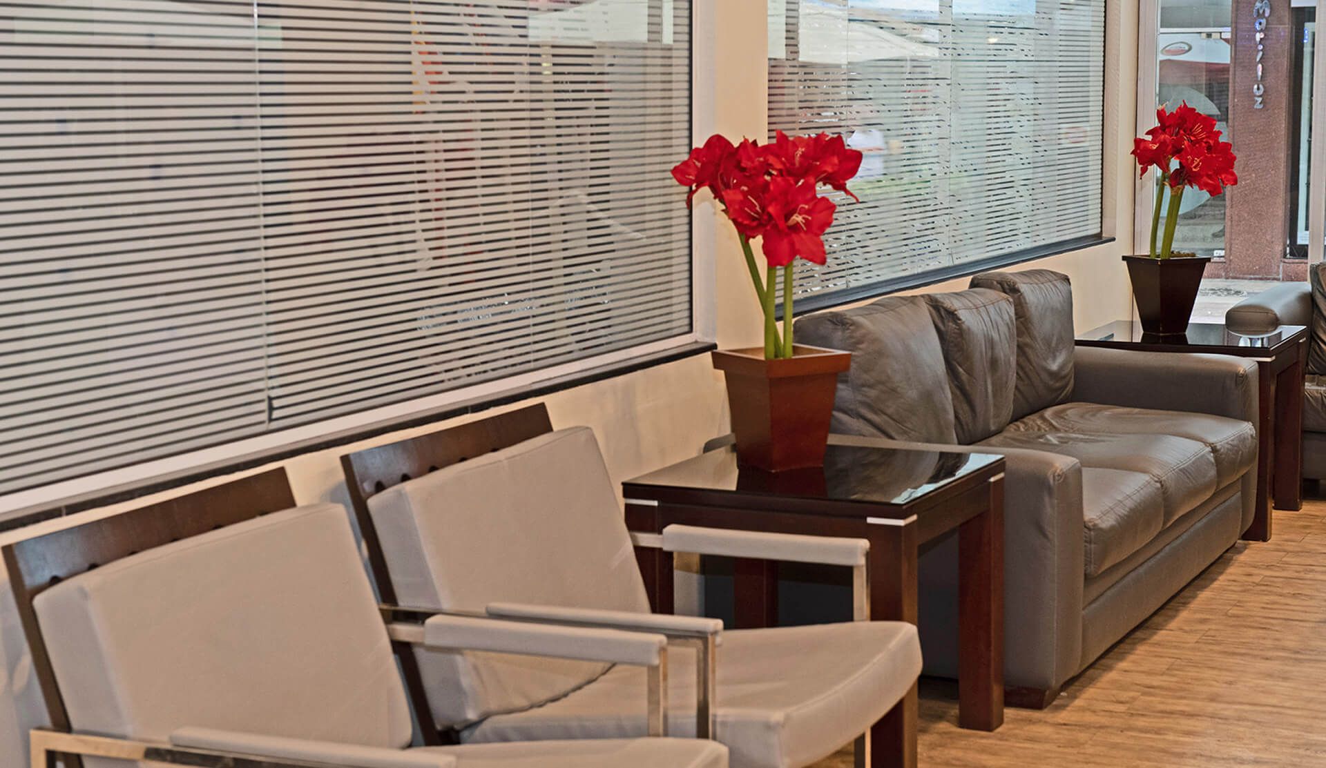 Ryan Express | Pires Hotéis