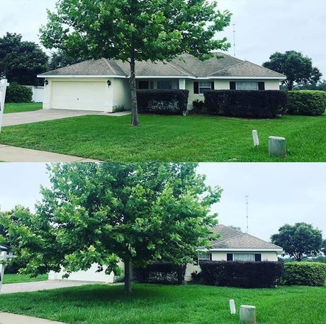 Home | Blue Ribbon Tree's