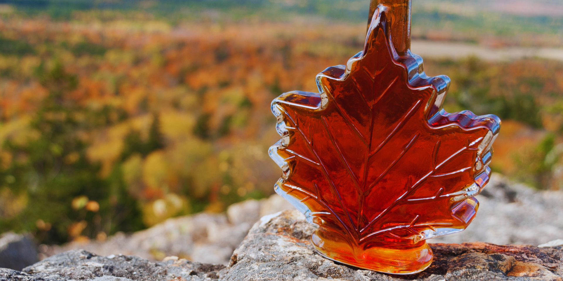 Maple Season Is Here 🍁