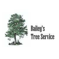 Expert Tree Services | Leicester, NC | Bailey's Tree Service