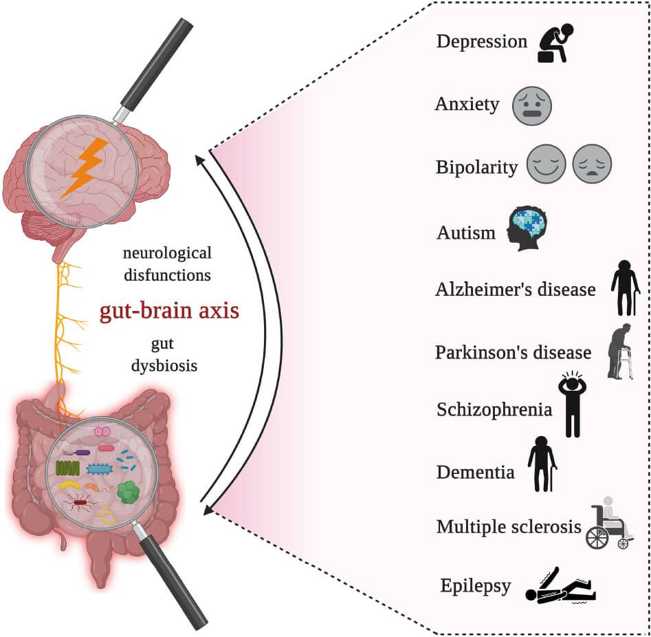Understanding How Your Gut Health Impacts Your Mental Well-being