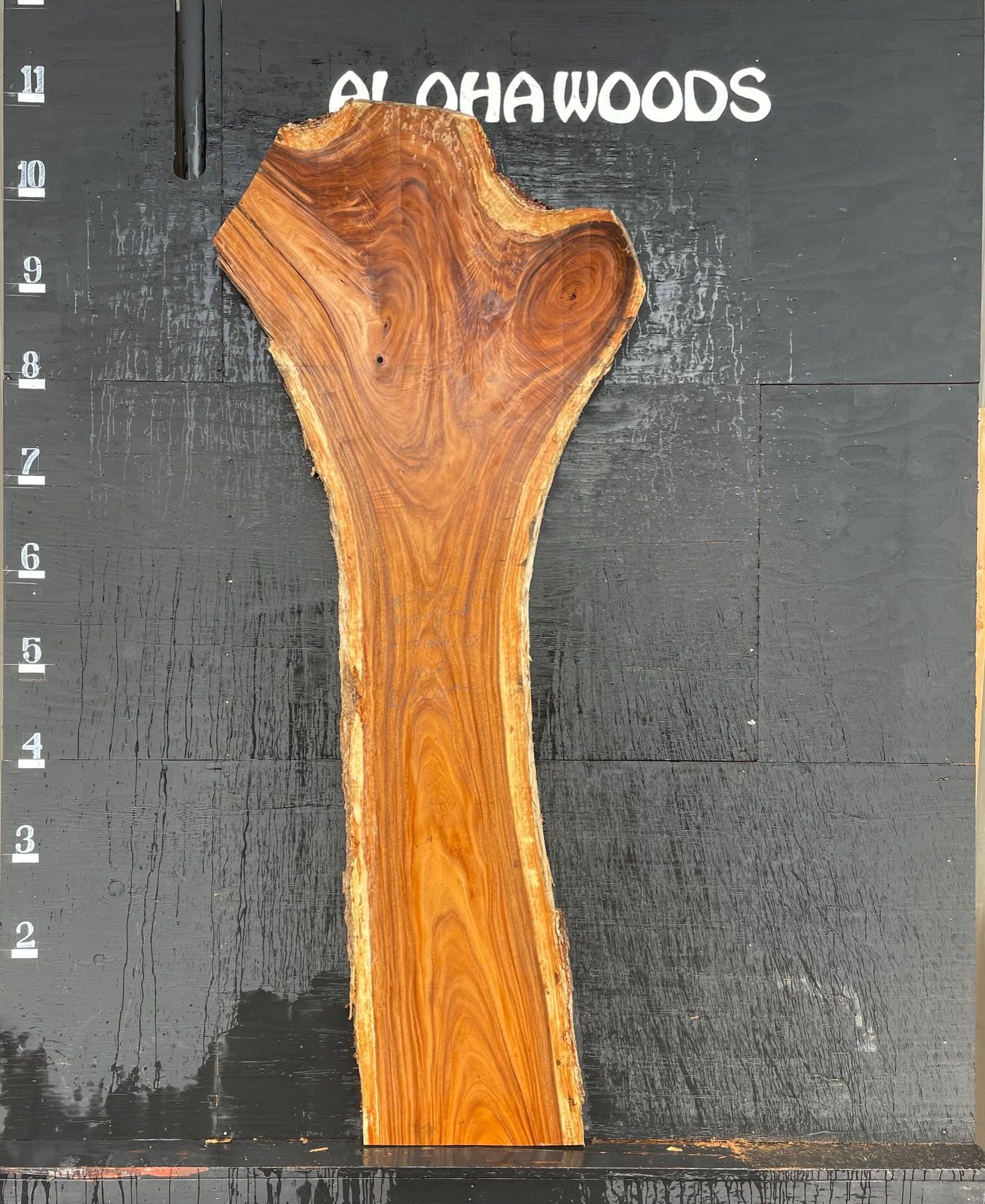 Monkey Pod | Hawaiian Woods | Aloha Woods