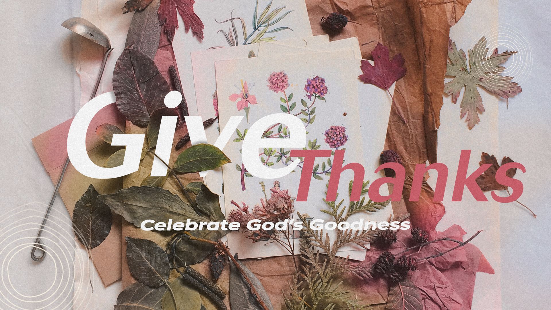 A Heart Full of Thanksgiving!