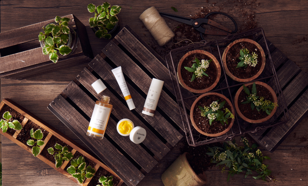 Spa Packages | Philadelphia, PA | Eviama Life