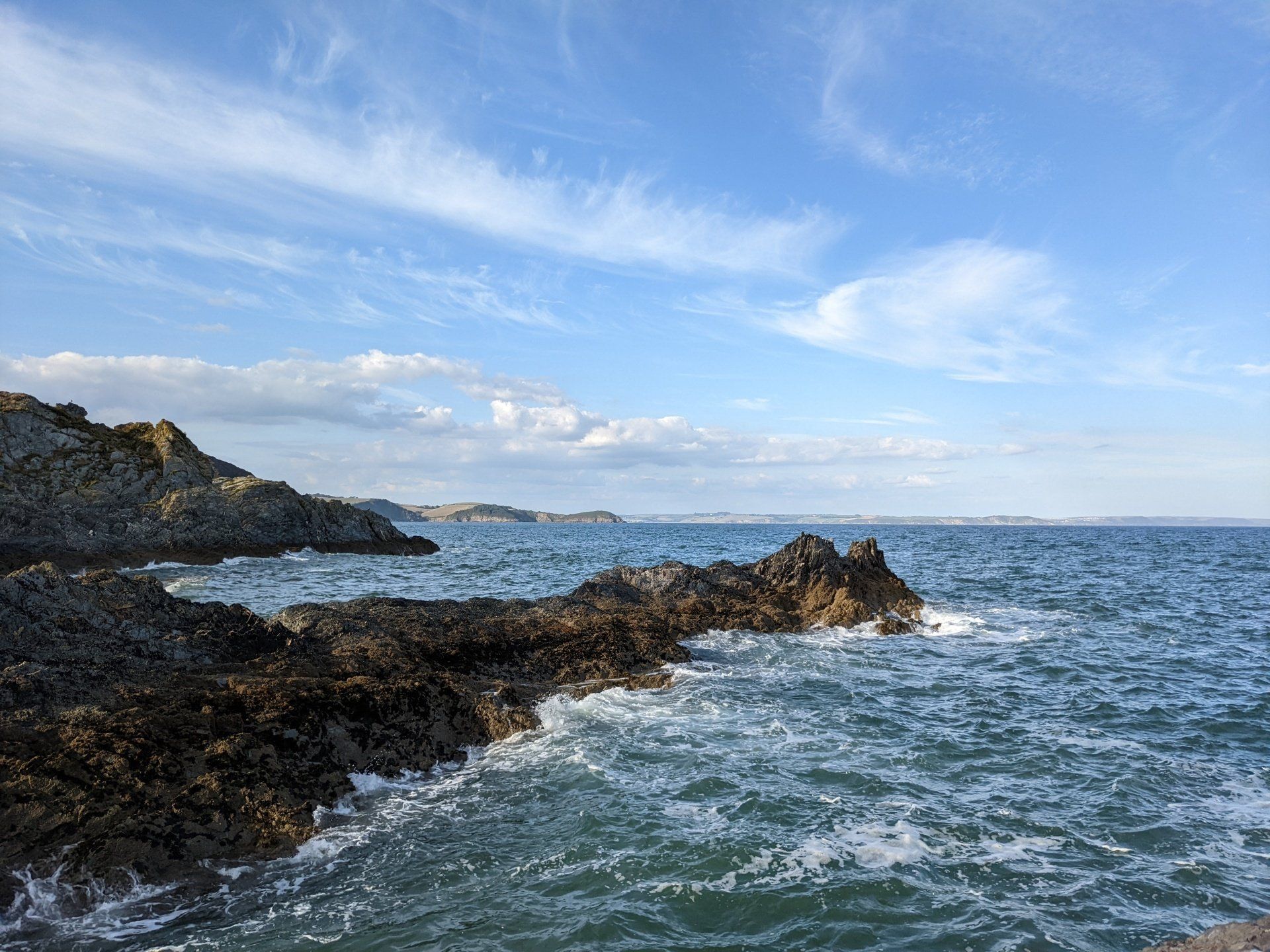 A poem and video about nature's boundless energy