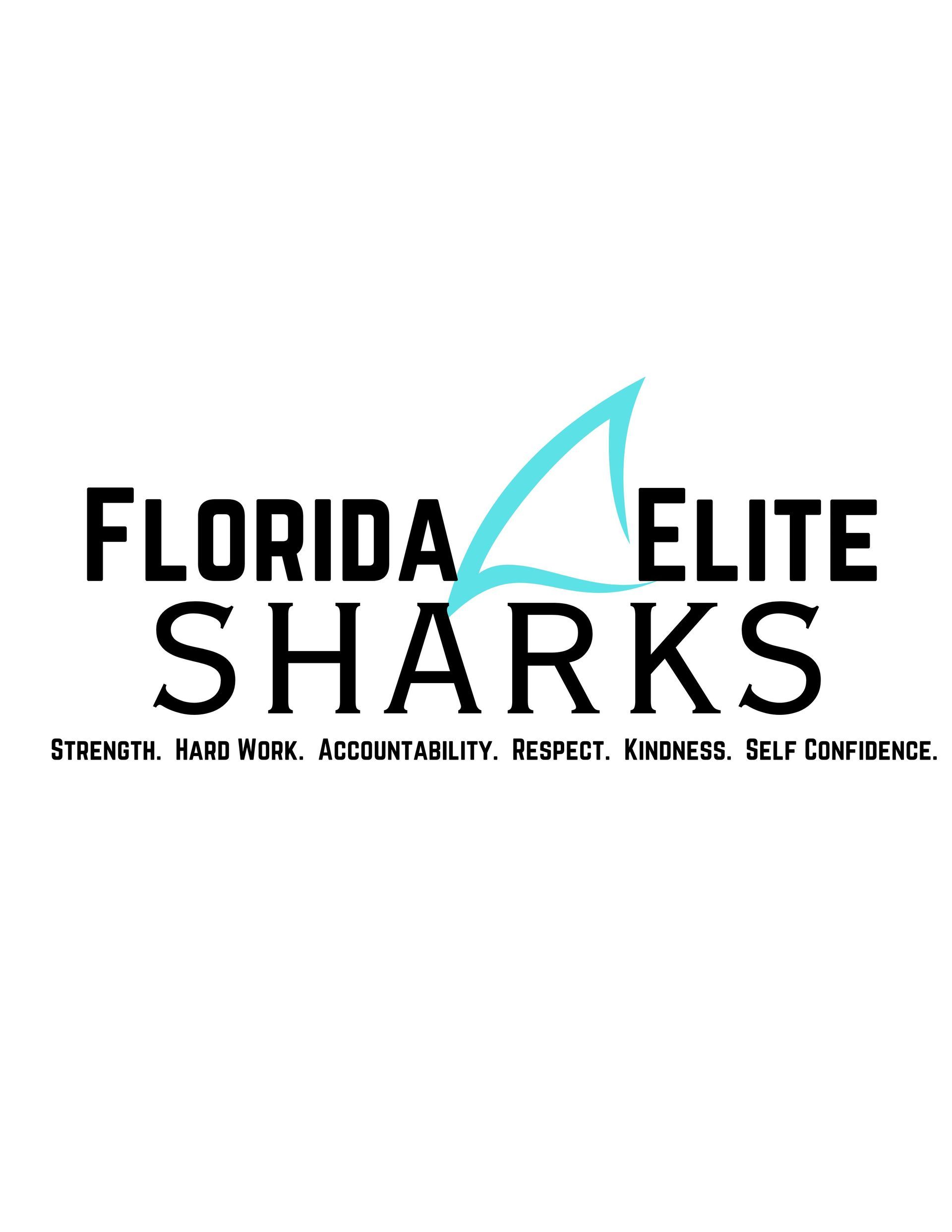 Competitive Cheerleading & Gymnastics | Florida Elite Sharks | FL