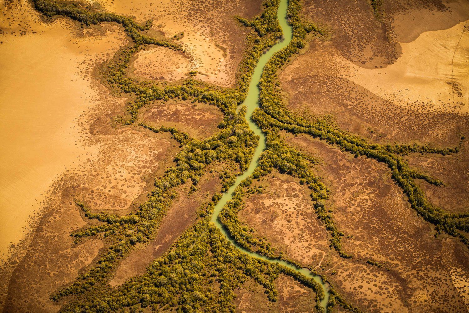 NLC Governance Issues and NLC Chief Executive Officer arrangements