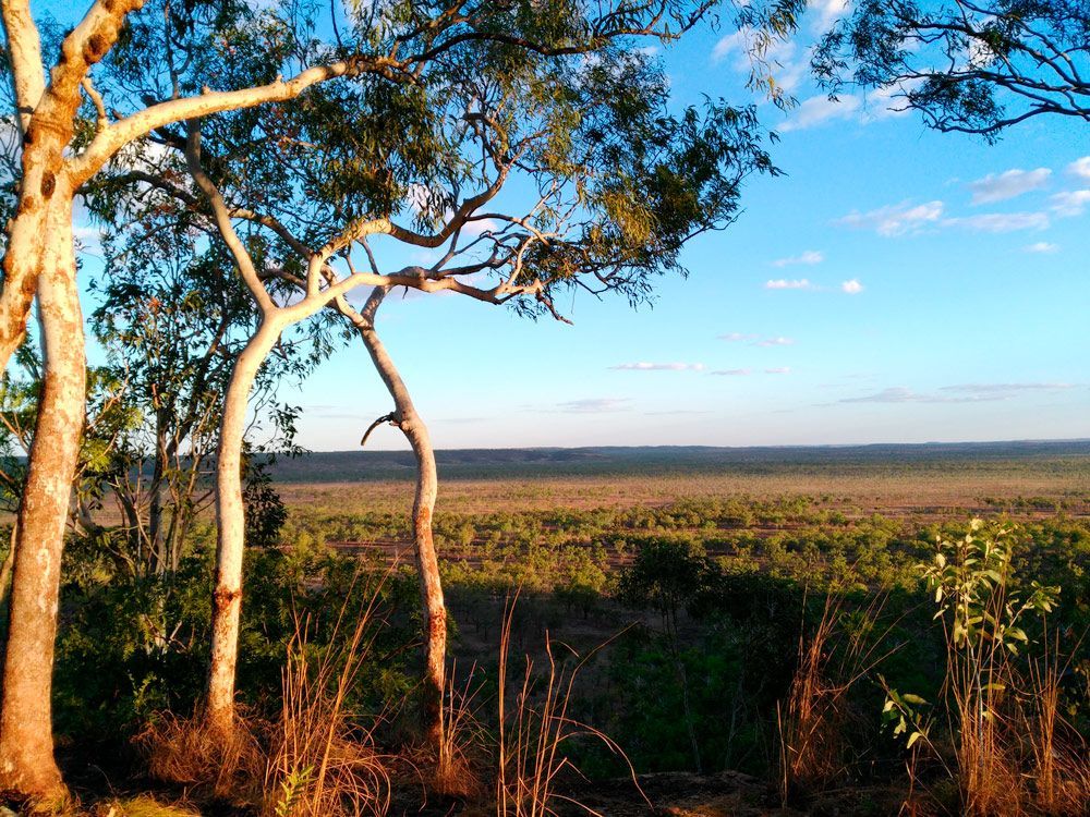 Native Title Act changes challenged