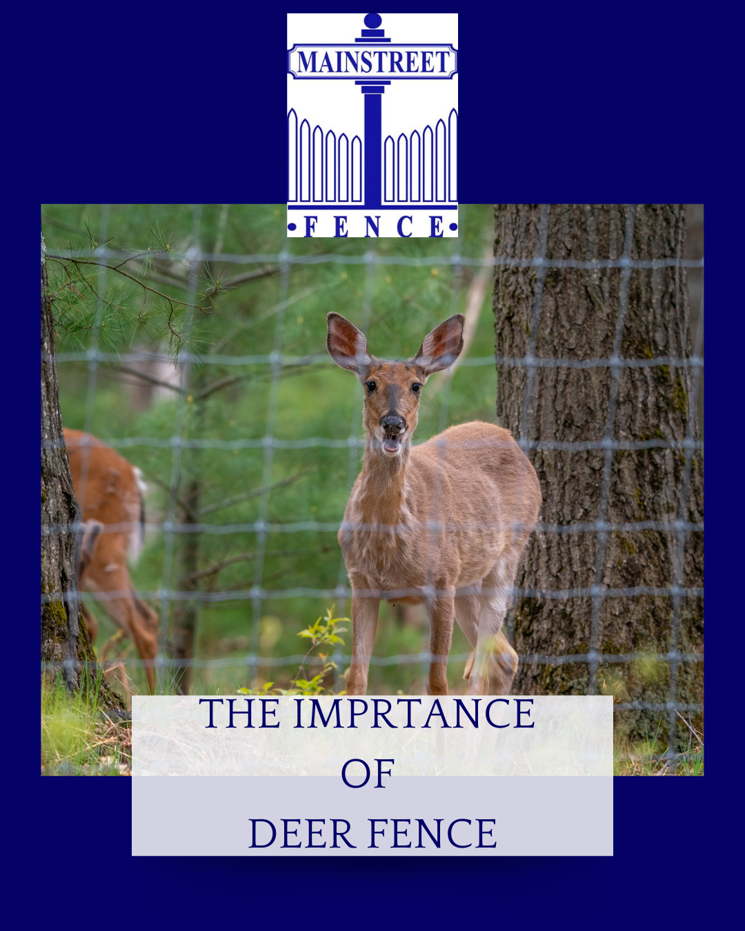 The Importance of Deer Fencing: Protecting Your Property and Garden