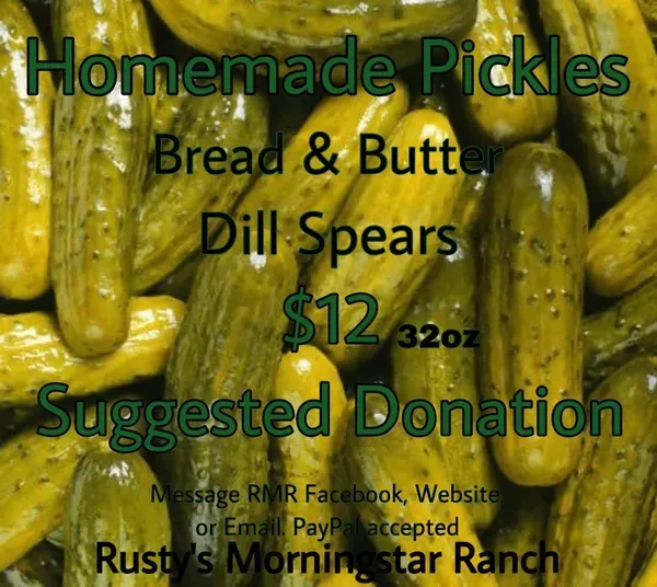 Shop | Rusty's Morningstar Ranch