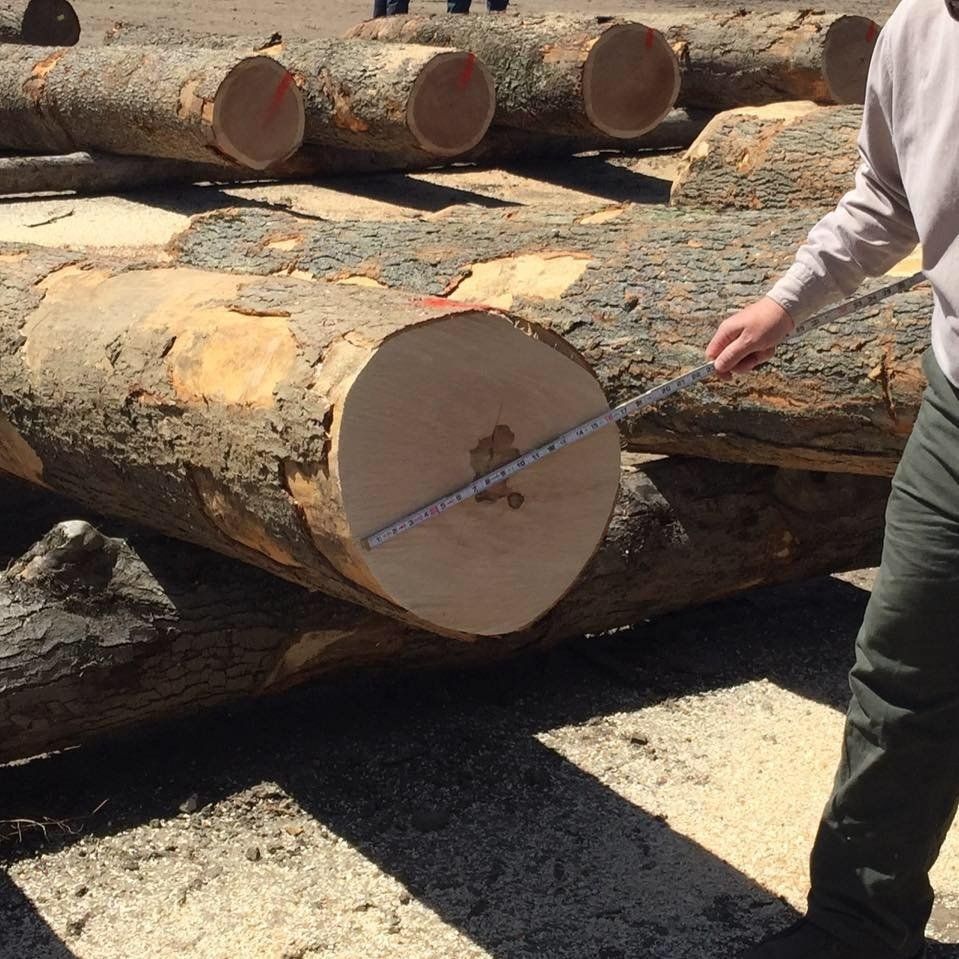 Hardwood Lumber & Logs | Pennsylvania