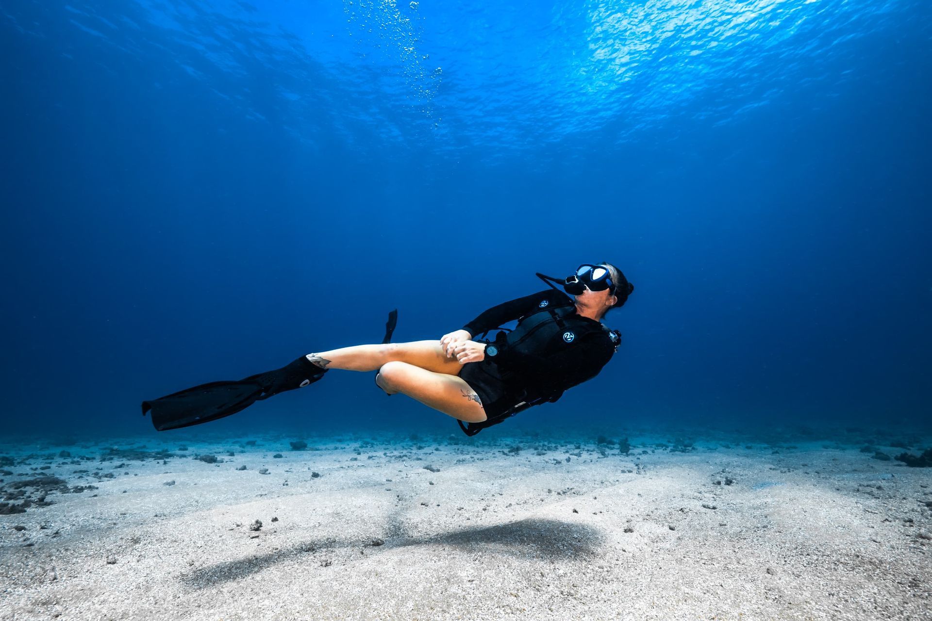 Discover Avelo Diving in Bonaire