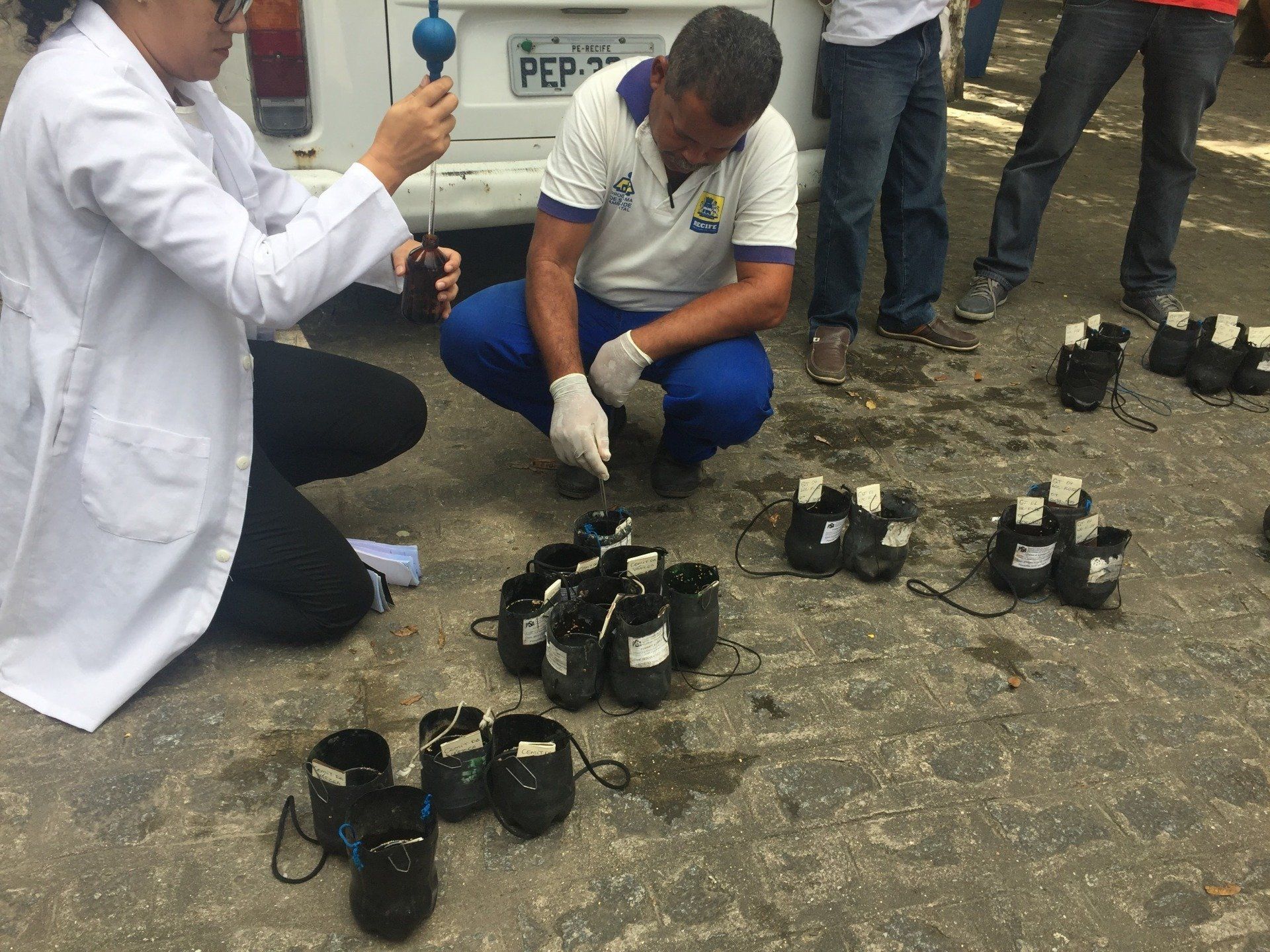 VecTech | AI-driven Mosquito Surveillance Tools | Baltimore, Md.