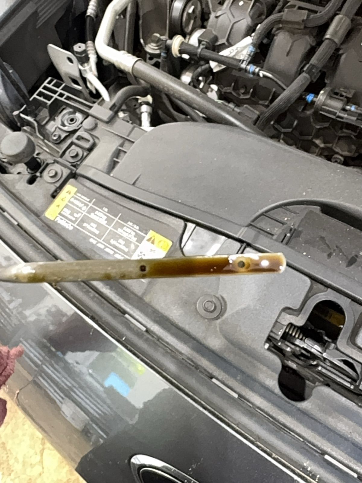 How to check you engine oil