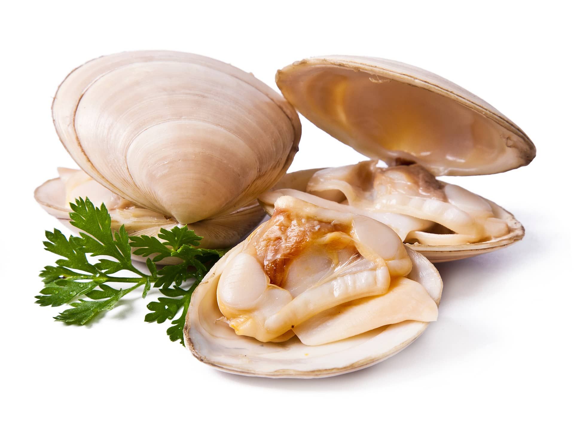 Captree Clam and Seafood Products | West Babylon, NY