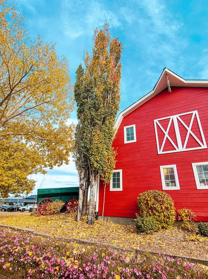 The Berry Barn | Restaurant, Greenhouse, Bakery, Gift Shop and more!