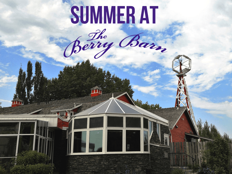 Summer at the Berry Barn