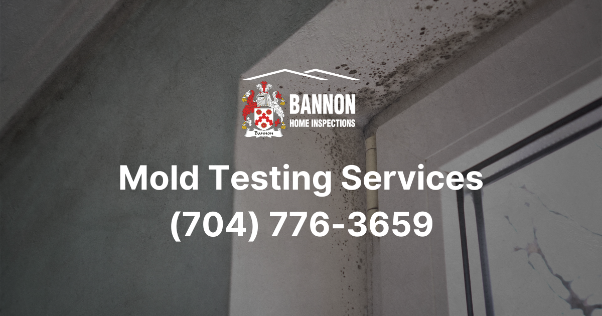 Professional Mold Testing Services | Bannon Home Inspections
