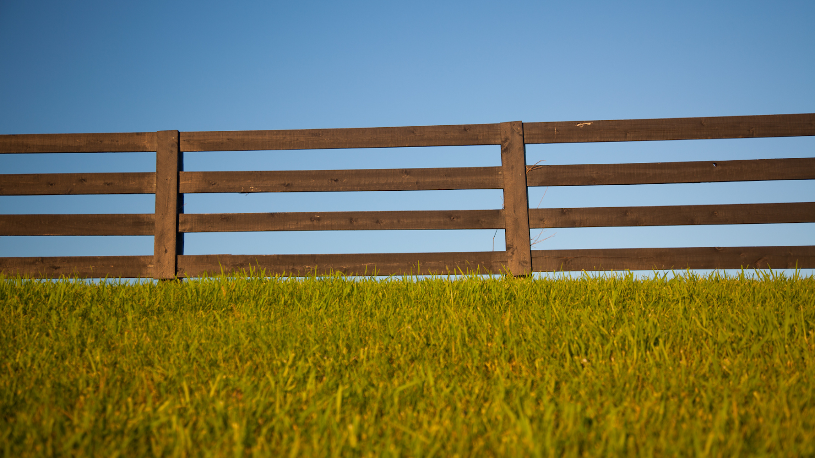 Why Experience Matters When Getting a Wood Fence Installed