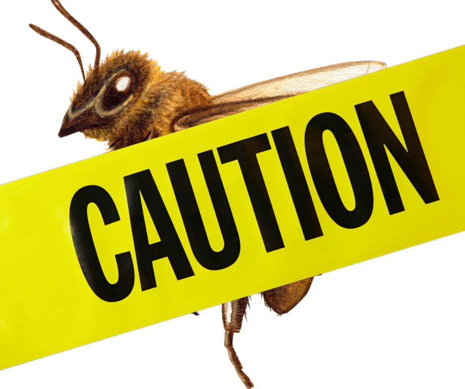 Dangers of Bee Stings: How to Protect Yourself and Your Family