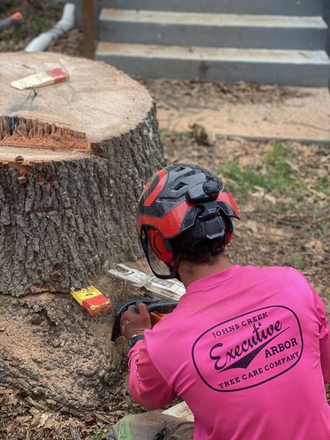 Executive Arbor - #1 Tree Service In Johns Creek (770) 231-6370