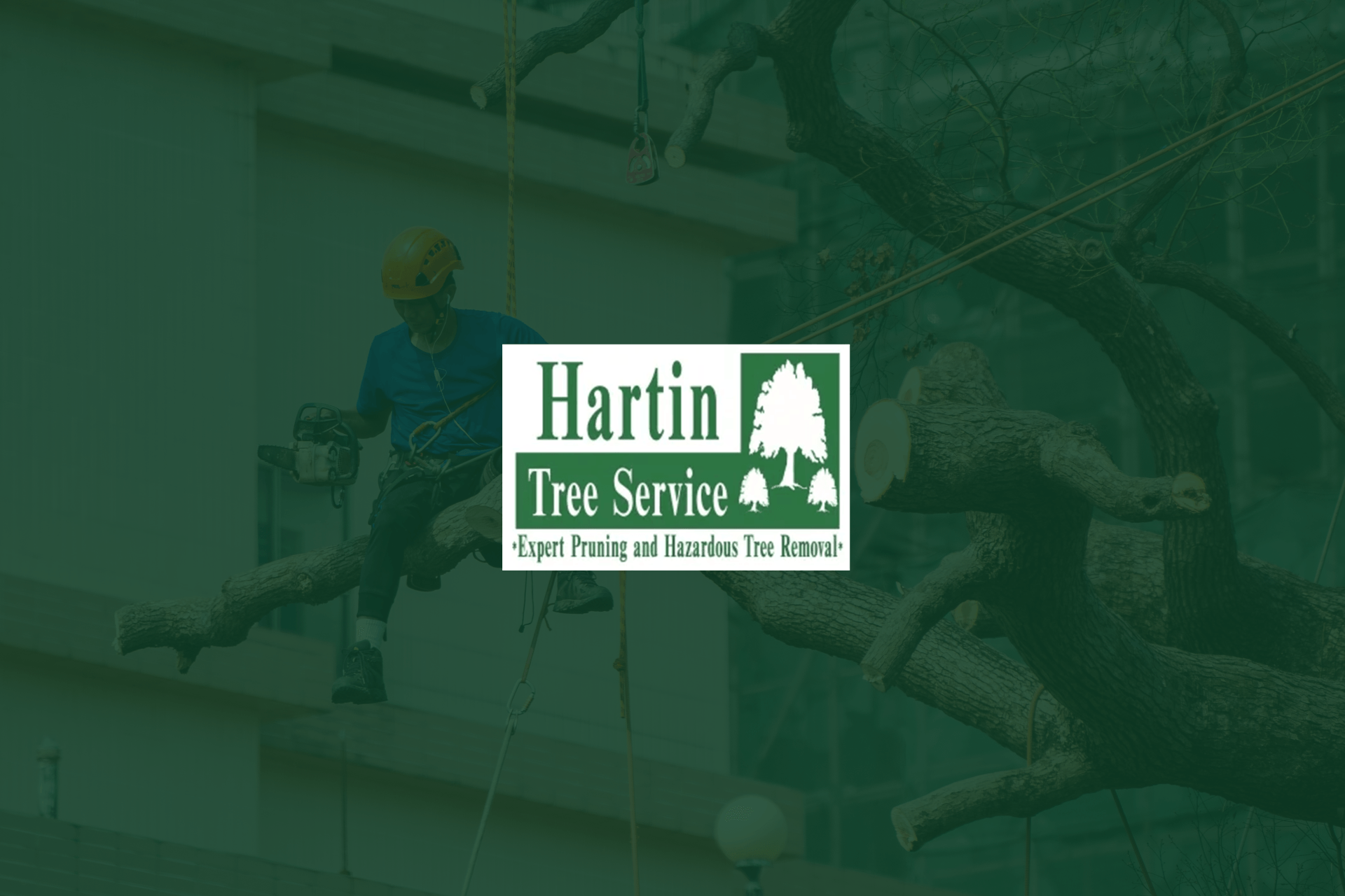Hartin Tree Service | Case Study | Weatherford, TX