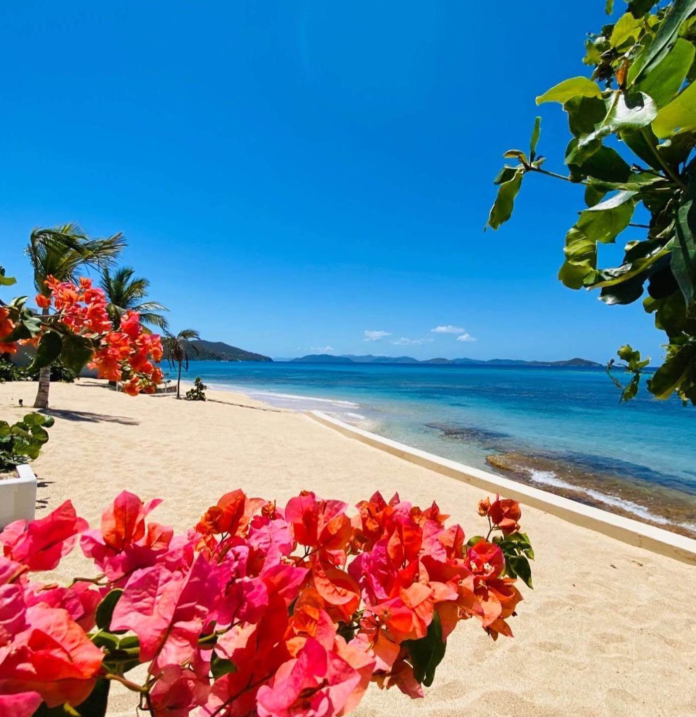 Terms And Conditions Mango Bay Resort British Virgin Island