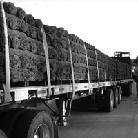 Home | Jiffy Express | Freight Forwarder |3PL | Winnipeg