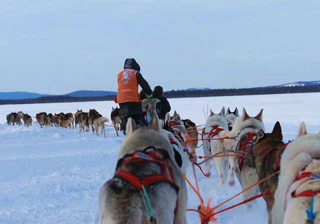 Husky Safari Levi 2025-2026 from 125€