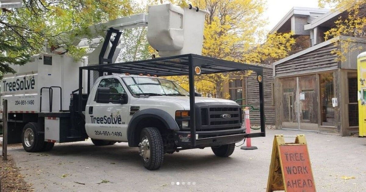 EAB Injections | TreeSolve Inc. | Winnipeg