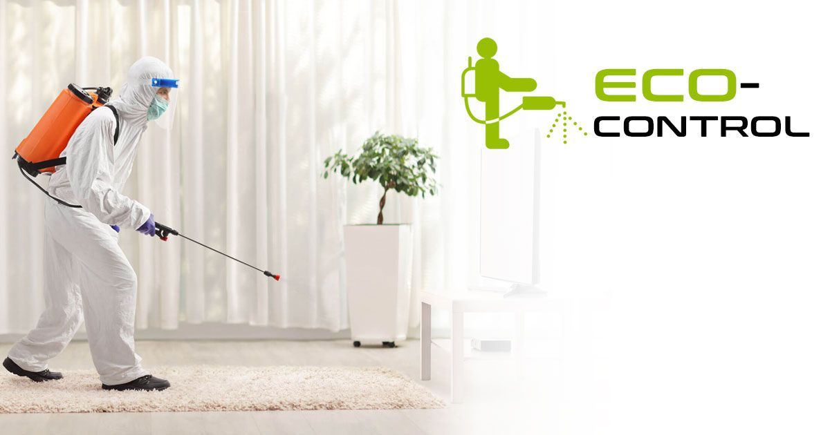 Servicios - ECO-CONTROL