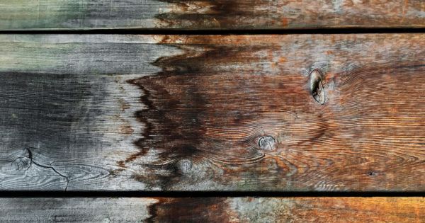 Pictures Of Mold Damage To Wood 3 Signs Of Mold Damage On Wooden
