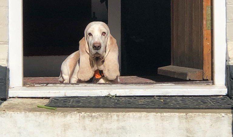 Isolation is the pits!
