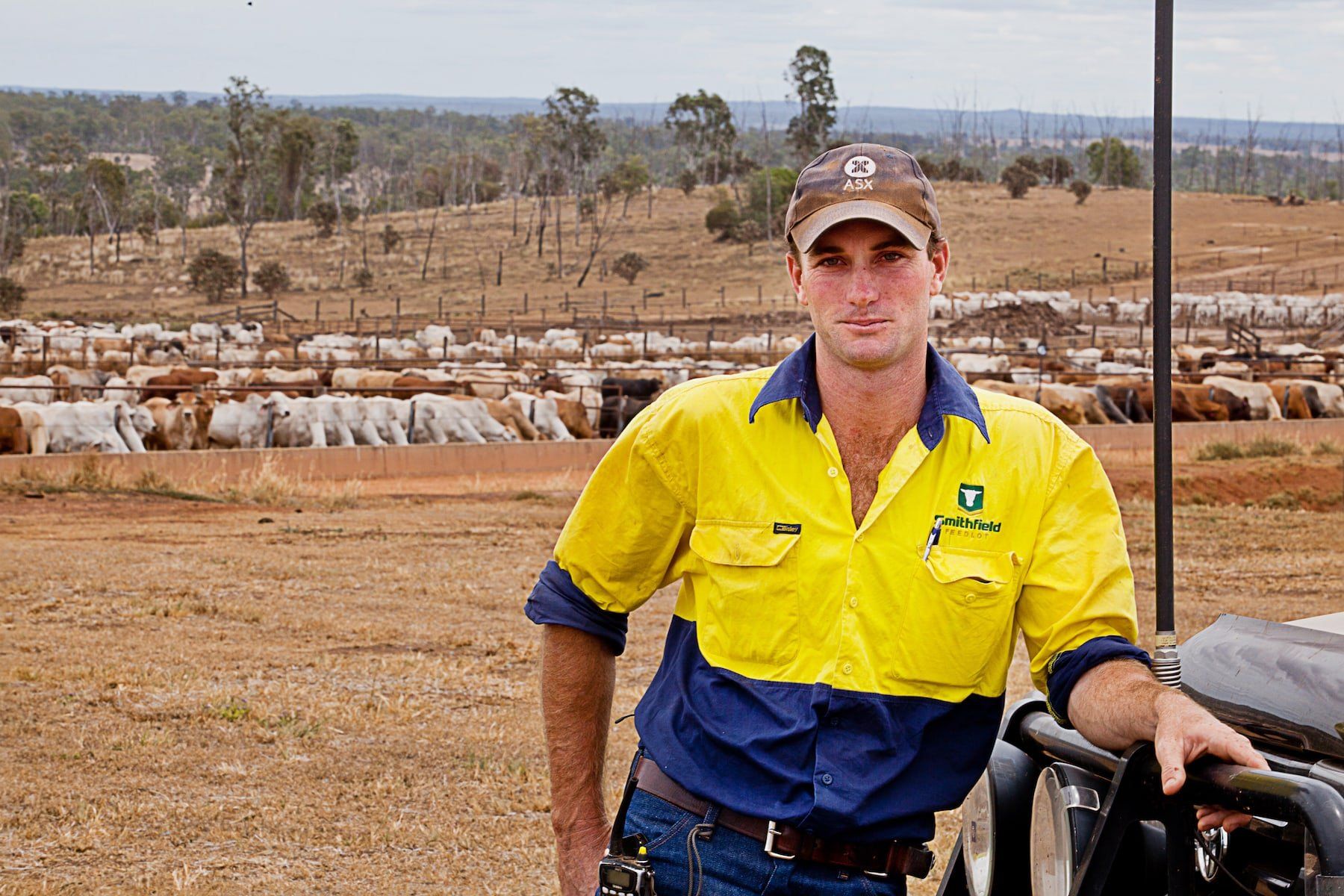 How To Help Your Wagyus Perform In The Feedlot How To Help Your Wagyus Perform In The Feedlot