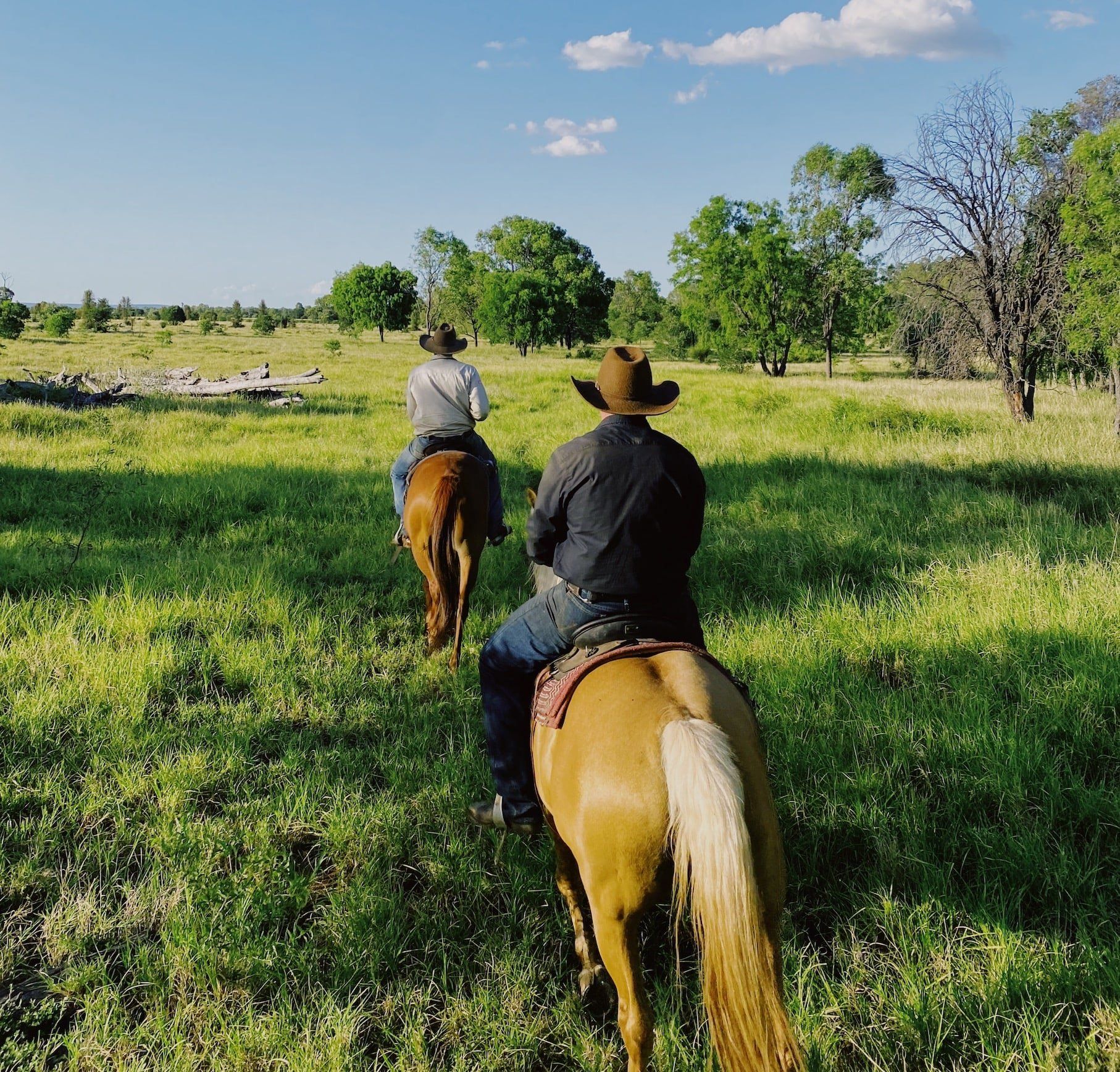Operations At Bar H – with Andrew Jansen