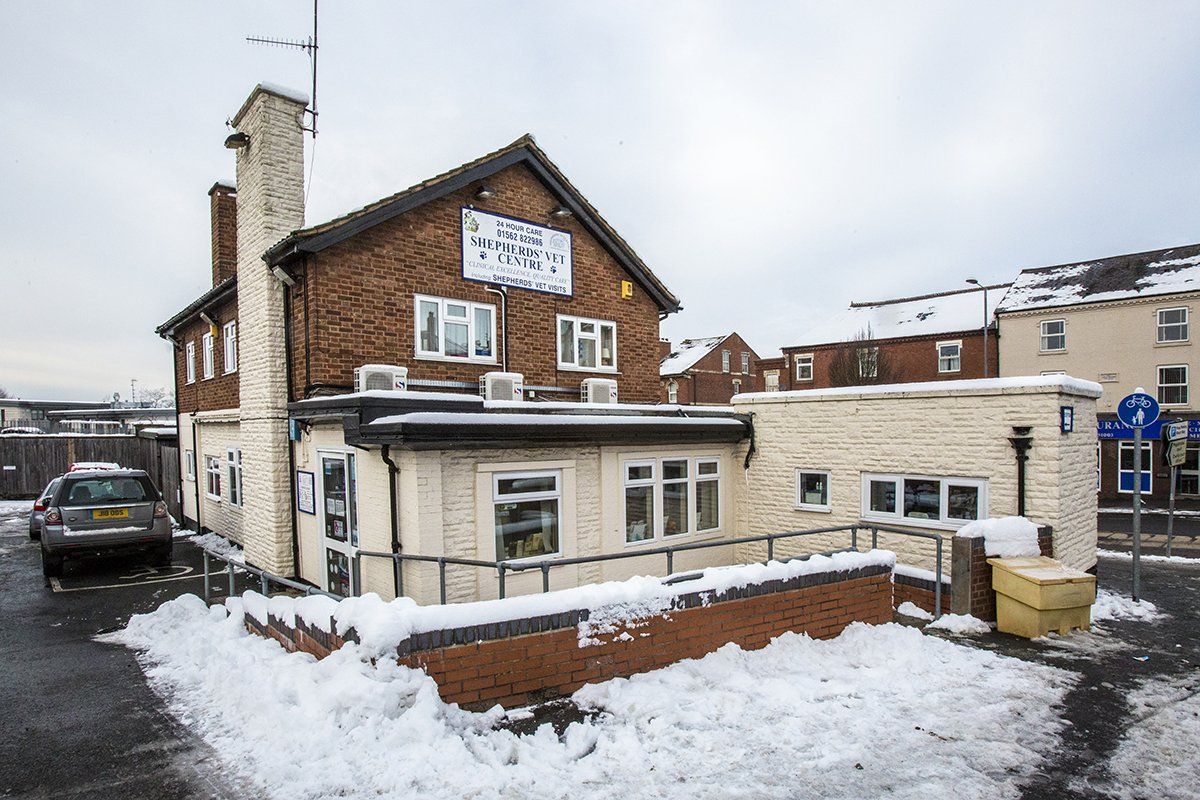 Vet Gallery | Shepherds' Vets Centre Kidderminster Vet Gallery | Shepherds' Vets Centre Kidderminster