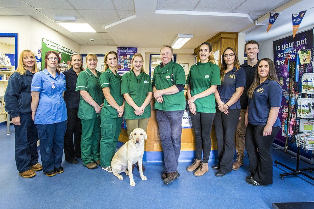 Vet Gallery | Shepherds' Vets Centre Kidderminster Vet Gallery | Shepherds' Vets Centre Kidderminster