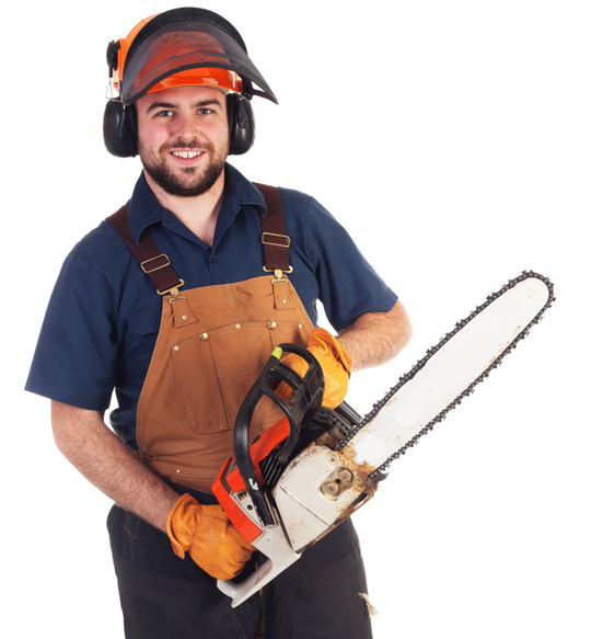 Sambas Tree Service | Tree Removal | Taunton, MA