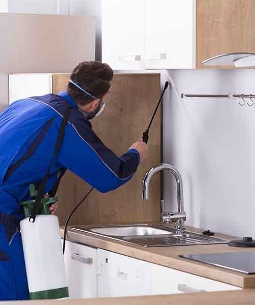 AAA One Pest Control | Exterminators in Fraser Coast